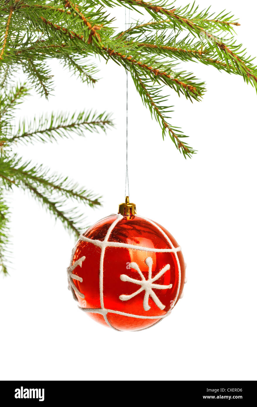 Red spruce hi-res stock photography and images - Alamy