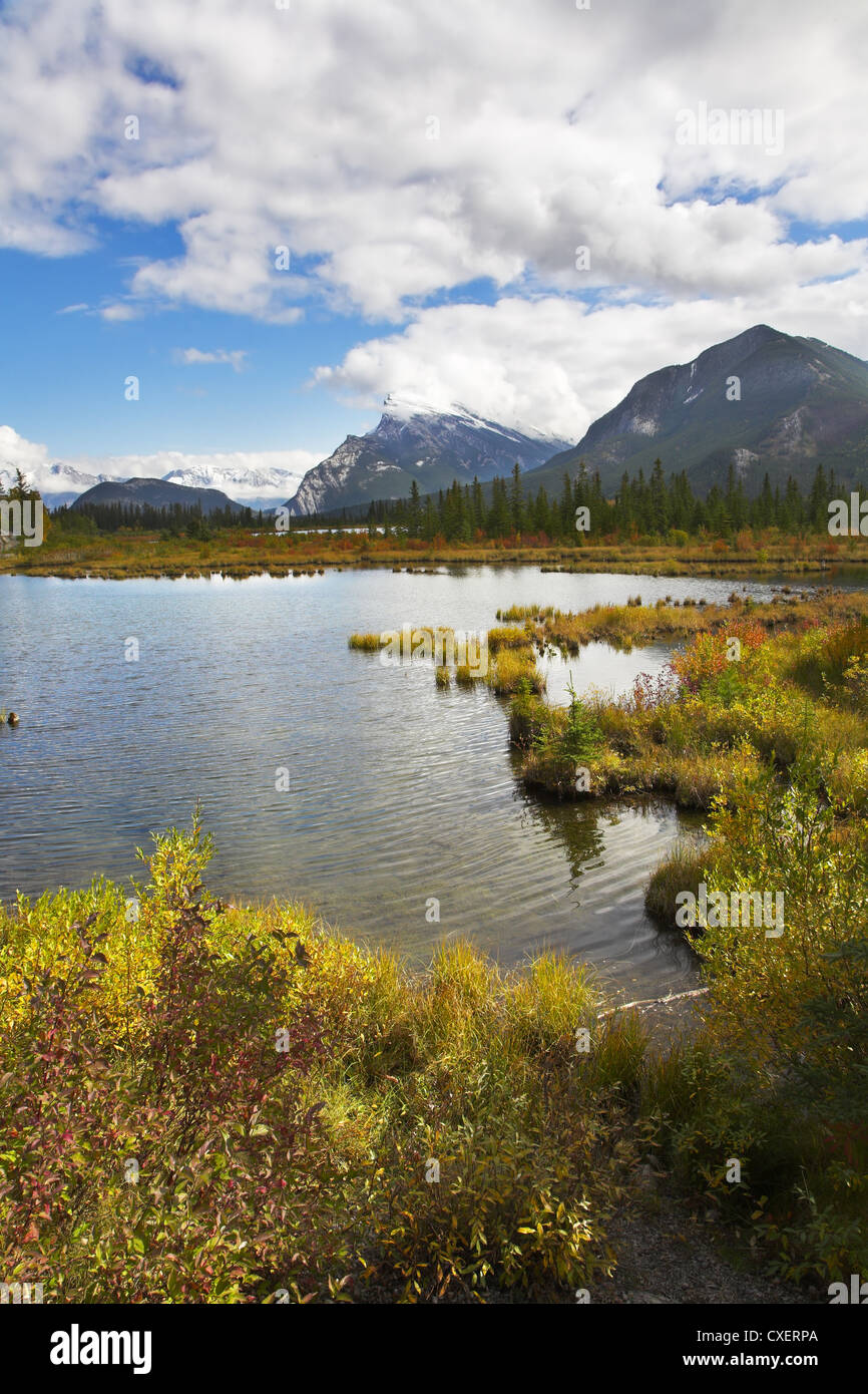Bog rock hi-res stock photography and images - Alamy