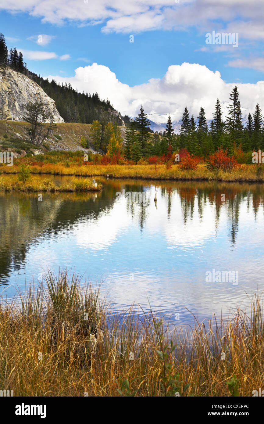 Charming small lake Stock Photo - Alamy