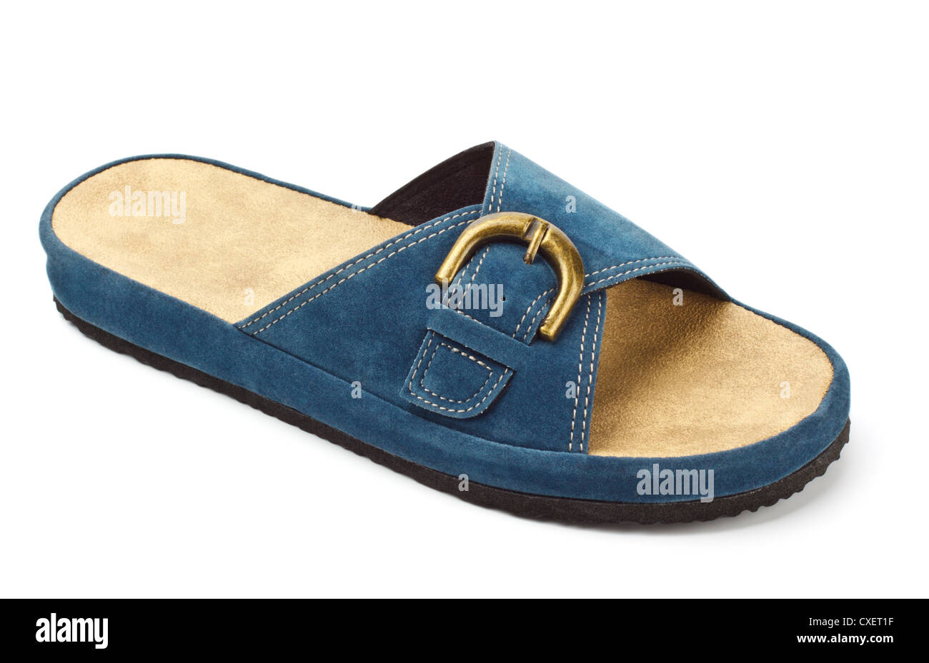 Blue slipper hi-res stock photography and images - Alamy