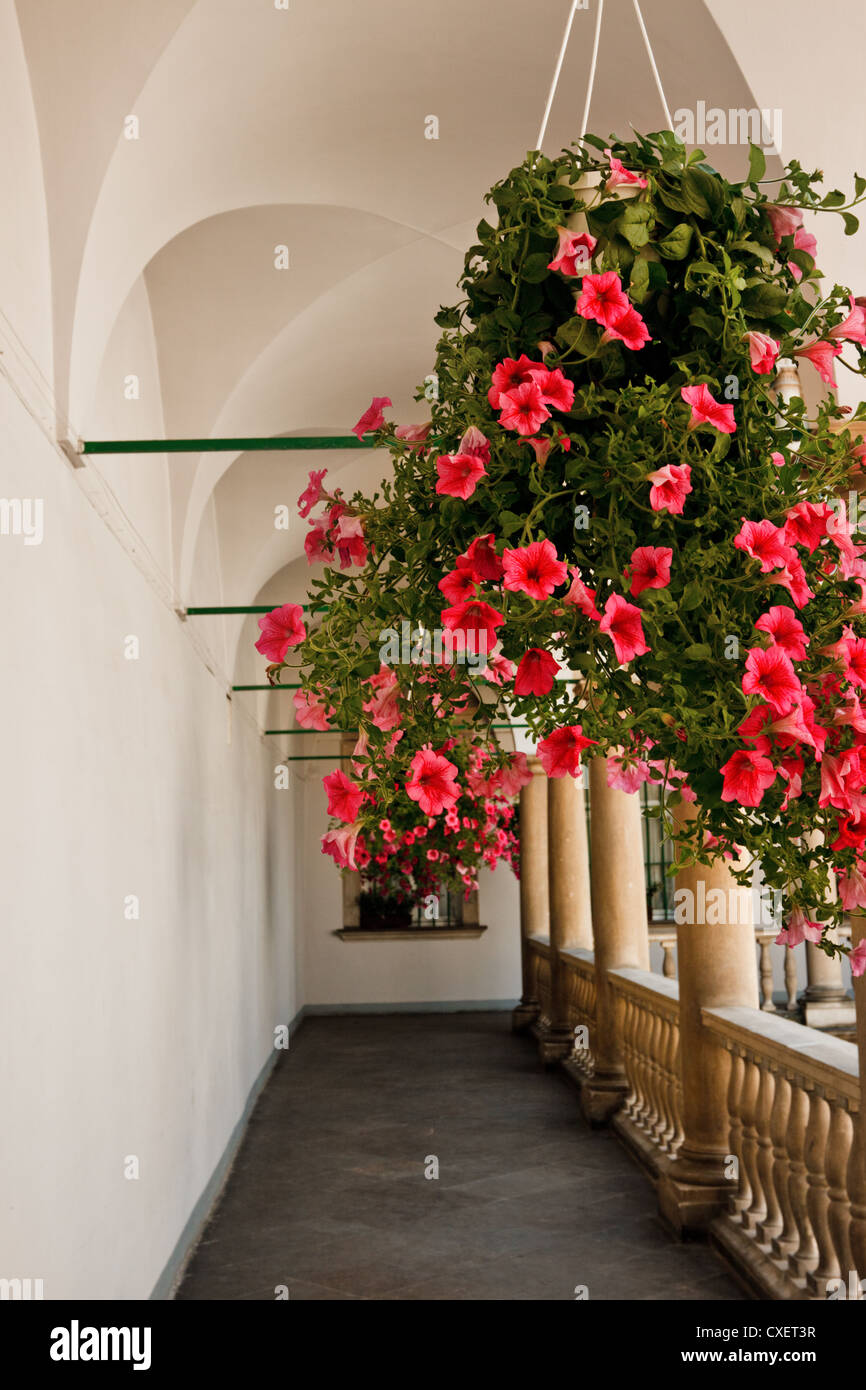 flowers in gallery Stock Photo - Alamy