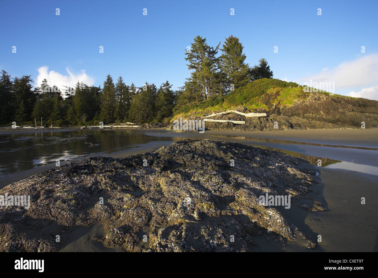 Beautiful small rock island in hi-res stock photography and images - Alamy