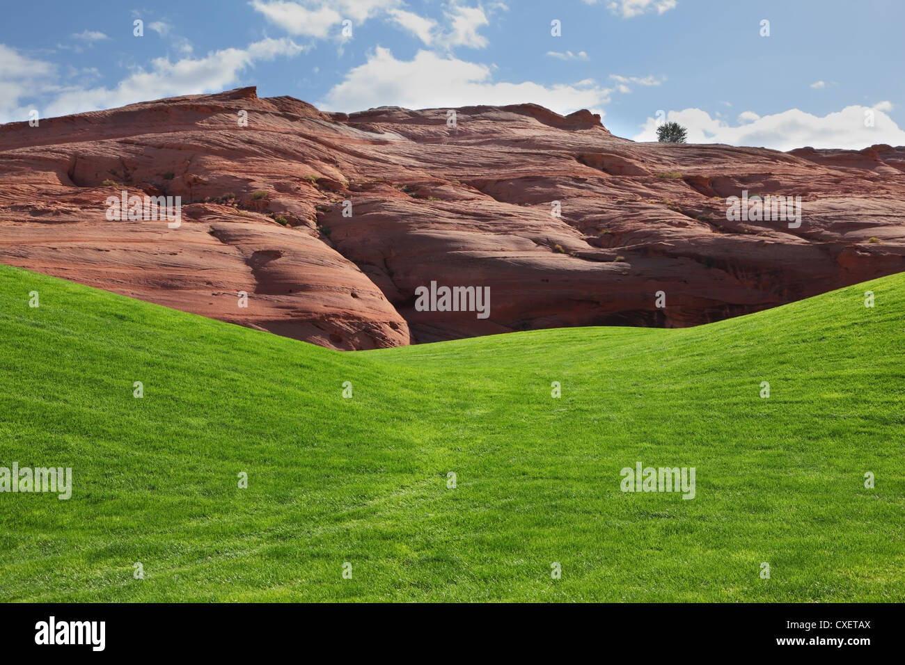 The green field for a golf Stock Photo - Alamy