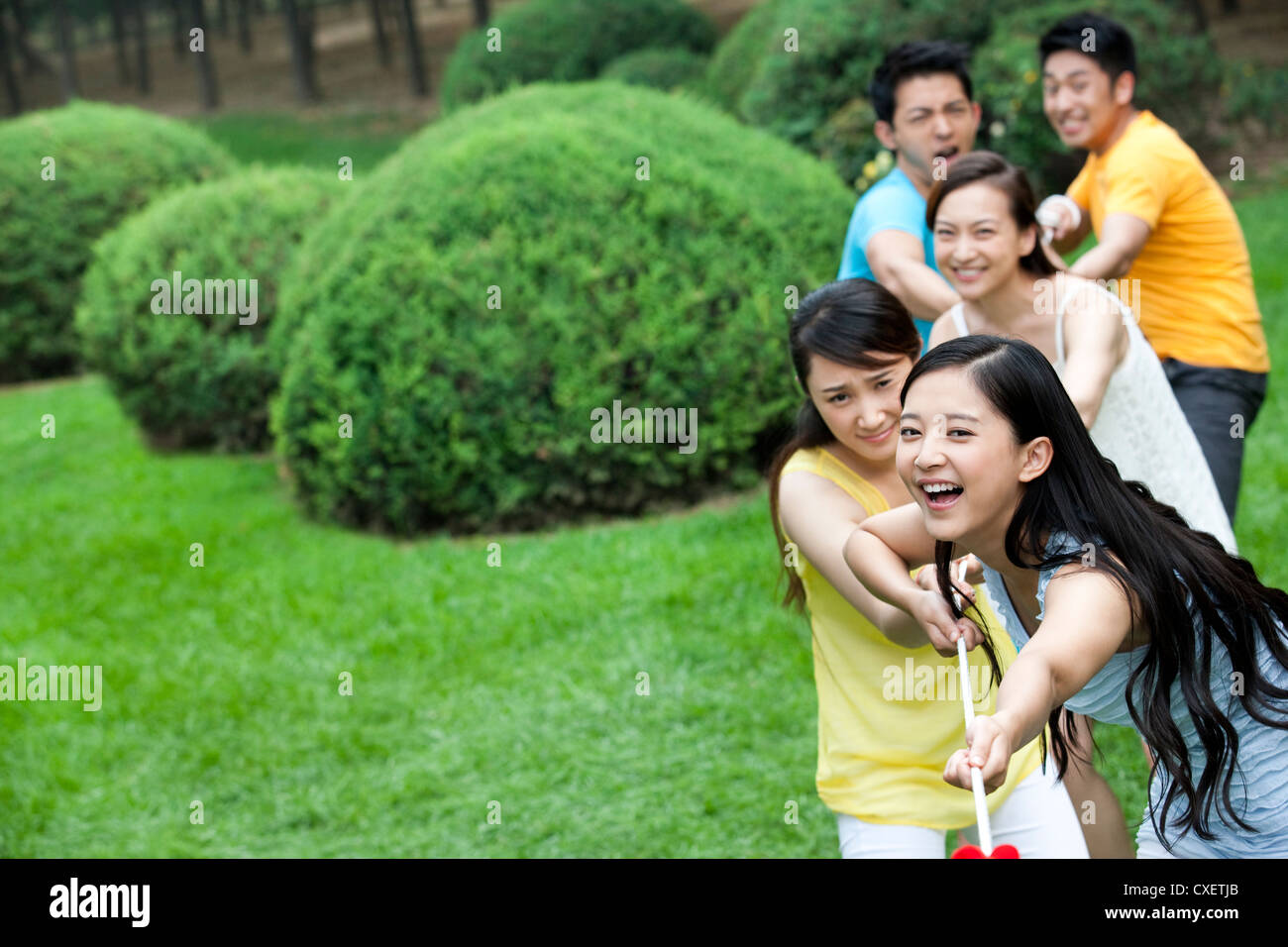 young people playing tug-of-war Stock Photo - Alamy