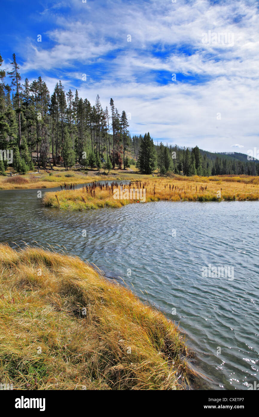 Stream flowing in park hi-res stock photography and images - Alamy