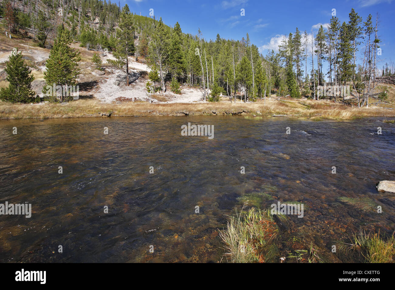 Shallow shade hi-res stock photography and images - Alamy