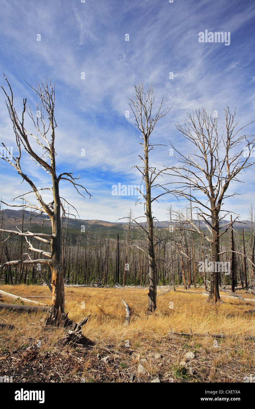 Burned down hi-res stock photography and images - Alamy