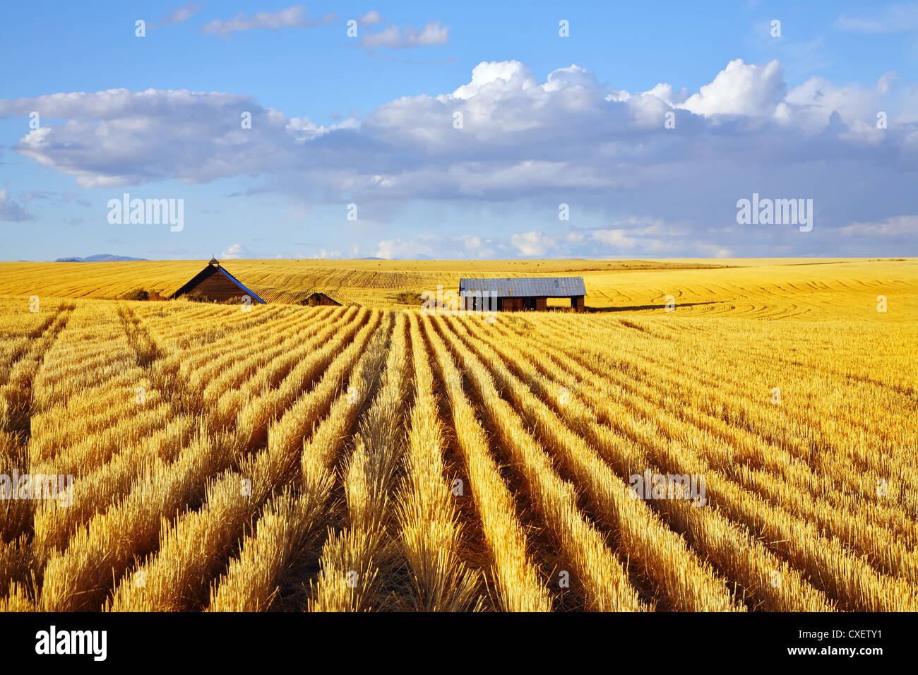 V montana hi-res stock photography and images - Alamy