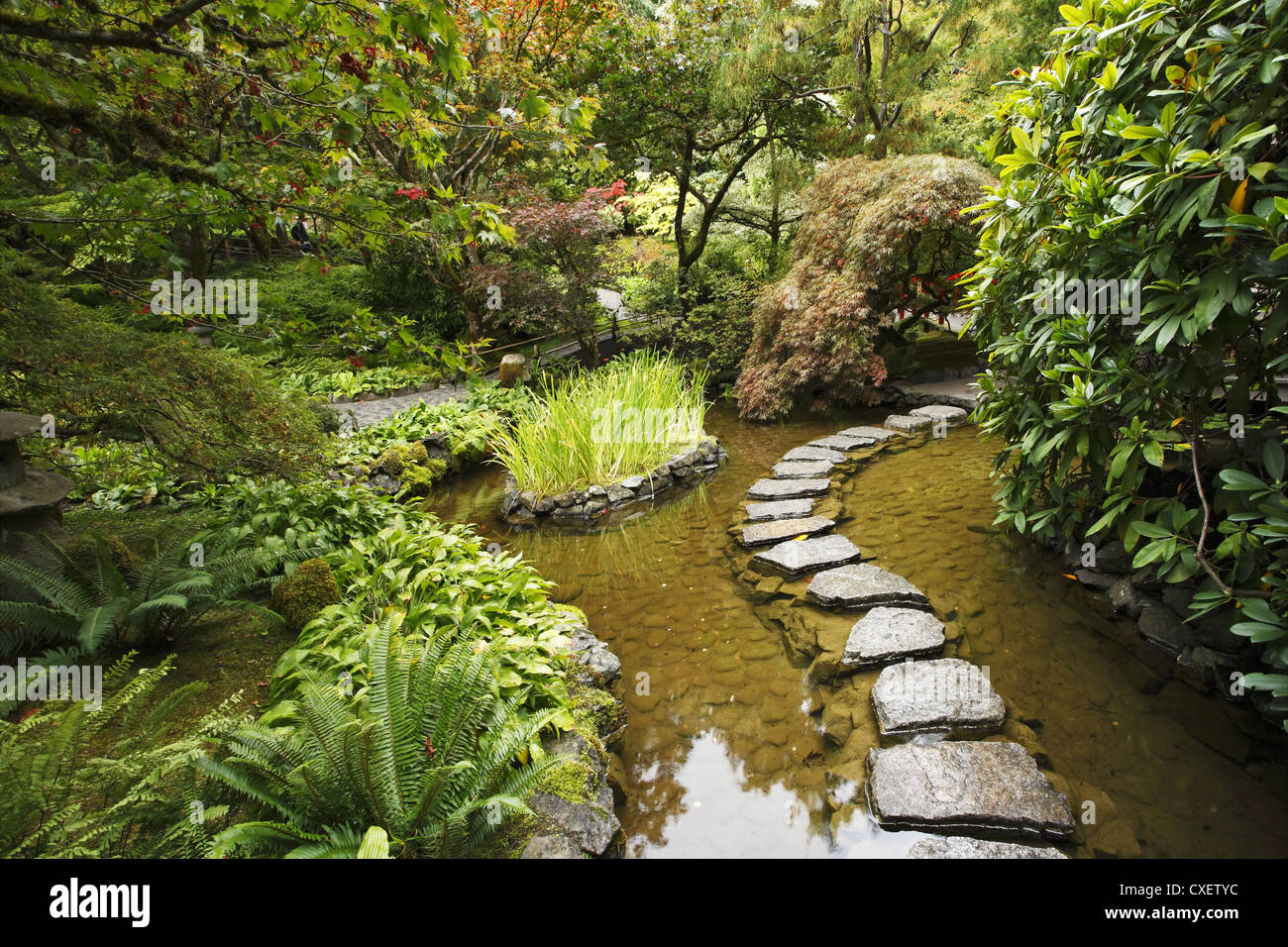 A stream and a decorative path from stones Stock Photo - Alamy