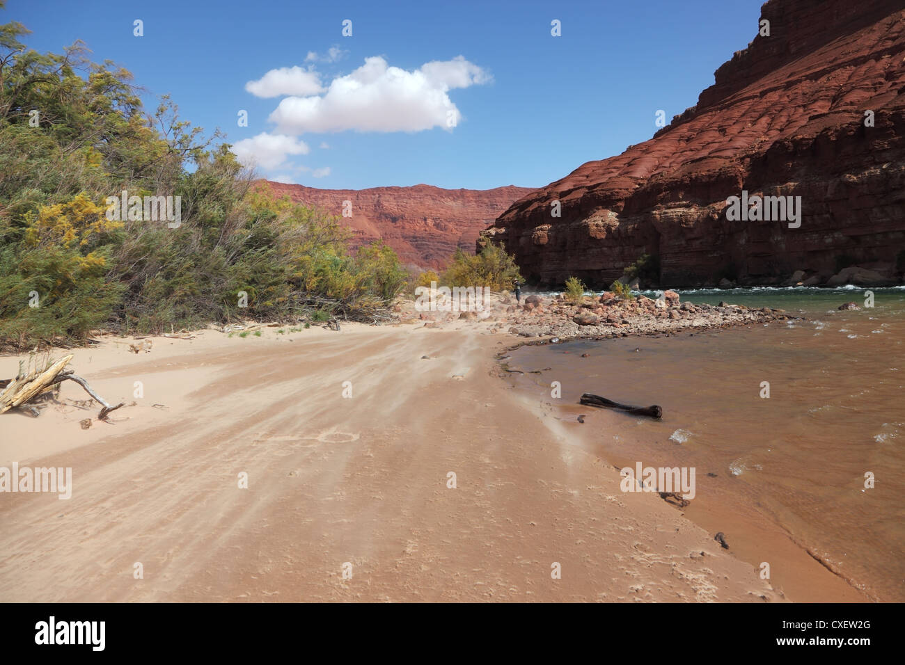 Colorado river scene hi-res stock photography and images - Alamy