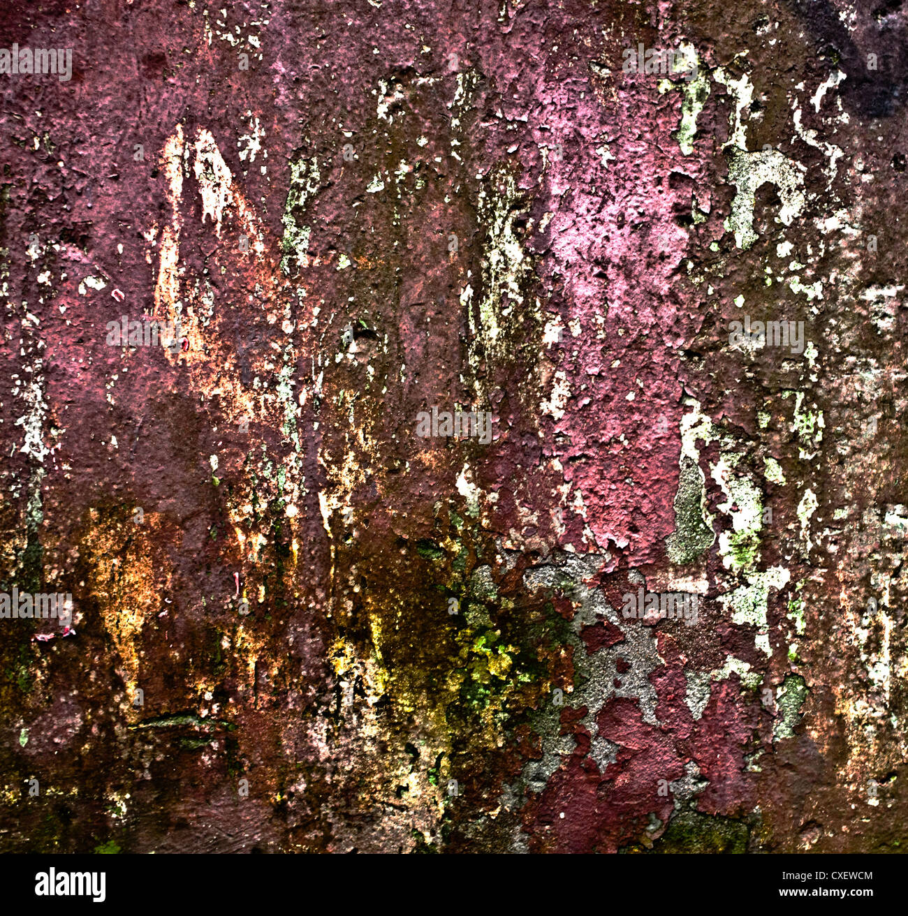 Moist texture hi-res stock photography and images - Alamy