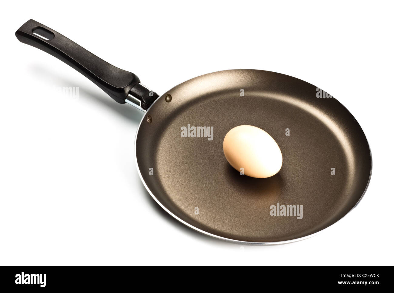 Deep brown shell Cut Out Stock Images & Pictures - Alamy