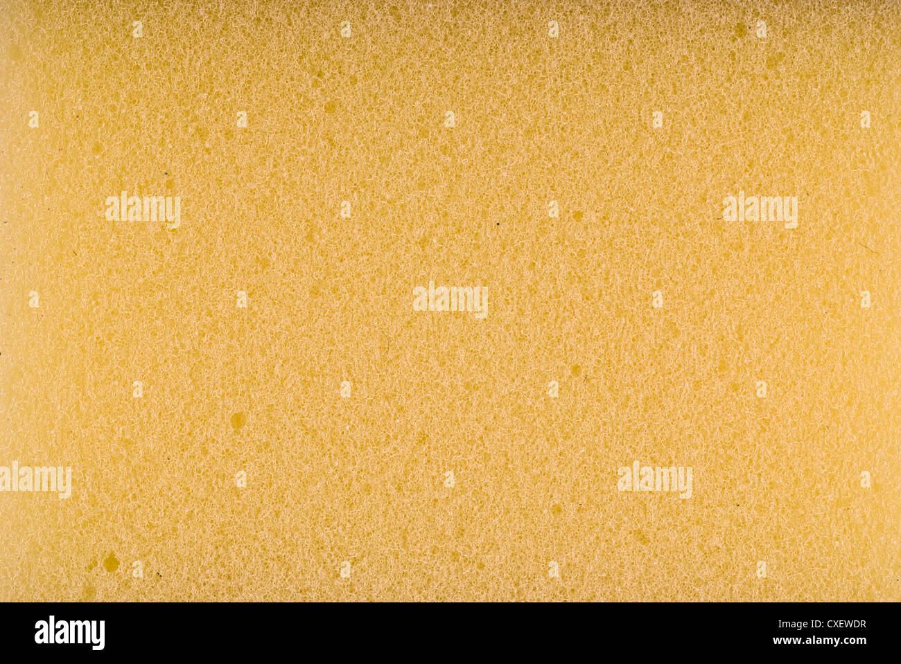 foam rubber texture Stock Photo - Alamy