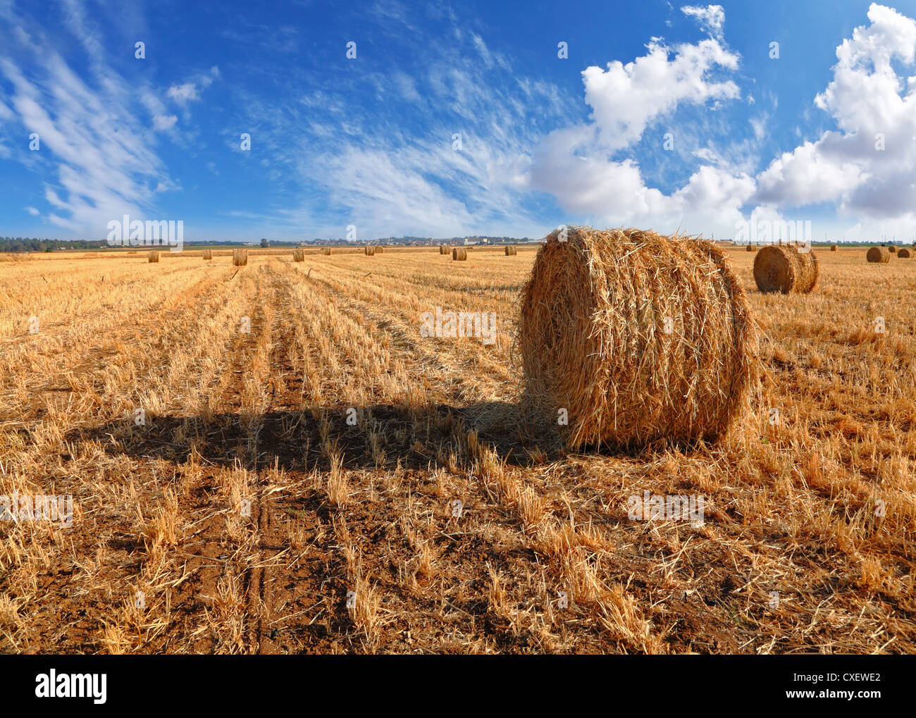 Corn stacks hi-res stock photography and images - Alamy