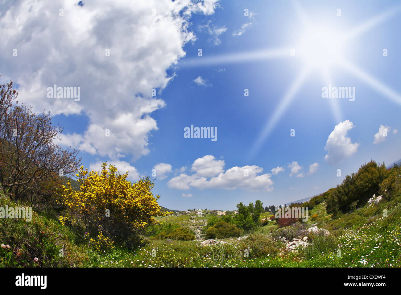 Spring at southern coast of sea Stock Photo - Alamy