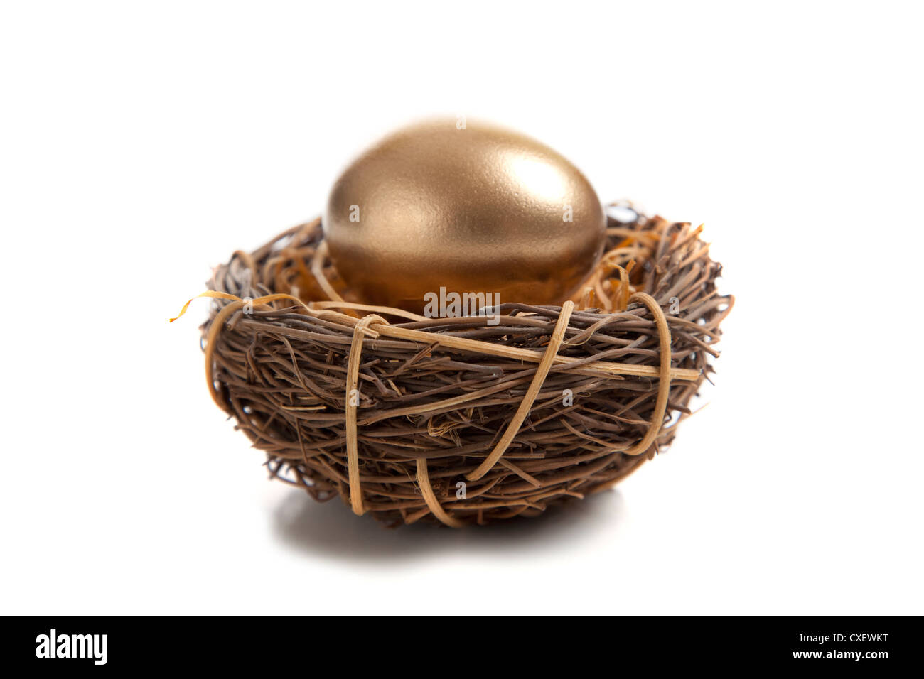 A golden egg in a birds nest on a white background Stock Photo - Alamy