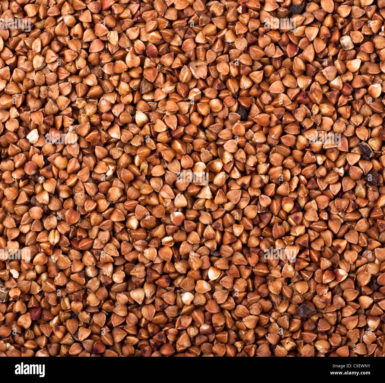 Scattered buckwheat hi-res stock photography and images - Alamy