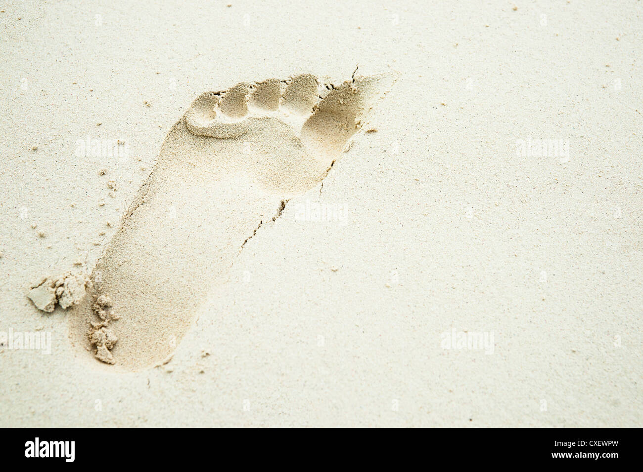 Left footprint hi-res stock photography and images - Alamy
