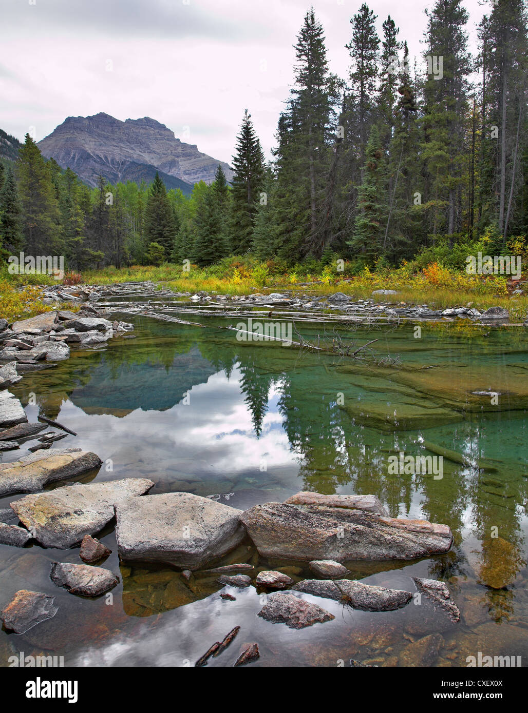 Northern lake hi-res stock photography and images - Alamy