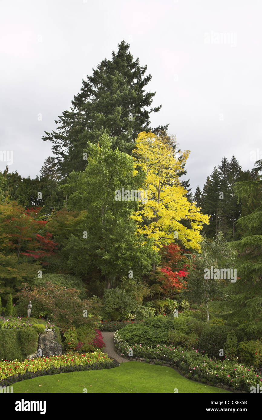 Pedestrian walking path hi-res stock photography and images - Alamy