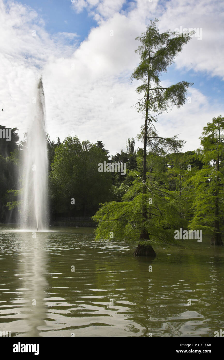 Lake with a fountain Stock Photo - Alamy