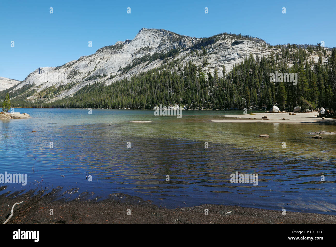 Deep into the lake hi-res stock photography and images - Alamy