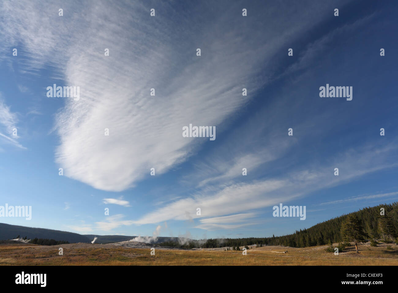 Yellowstone National Park Stock Photo - Alamy