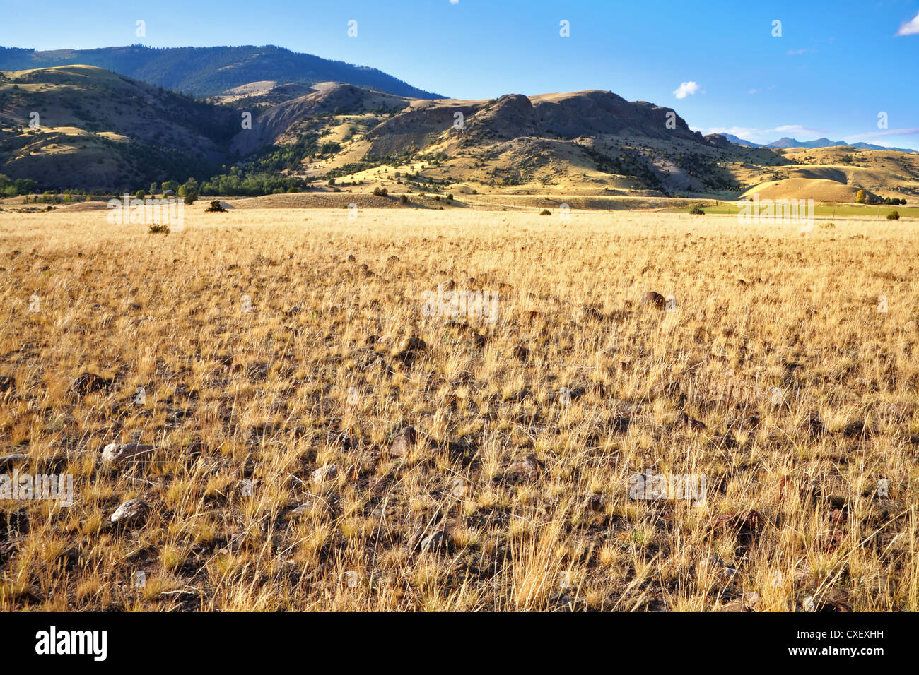 The American prairie in autumn day Stock Photo - Alamy