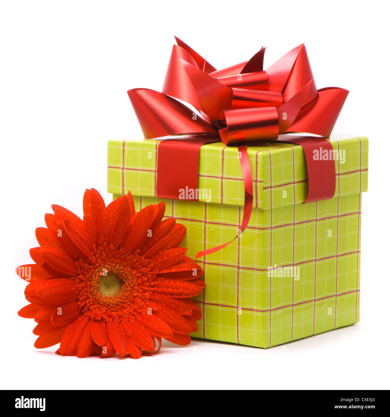 Flower box spring Cut Out Stock Images & Pictures - Alamy