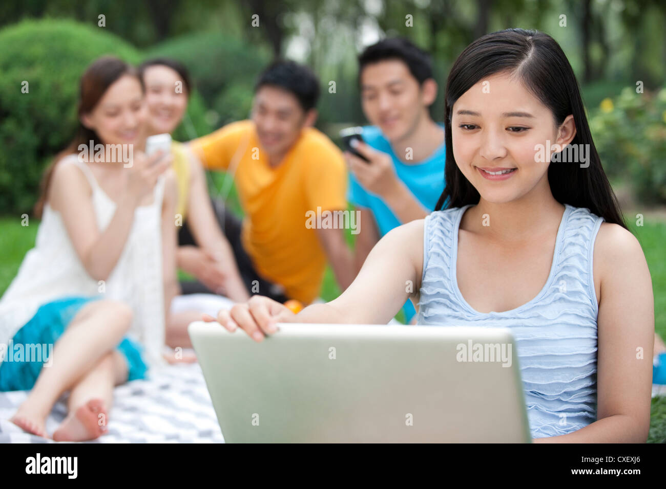 Young woman using computer on meadow with friends in background Stock ...