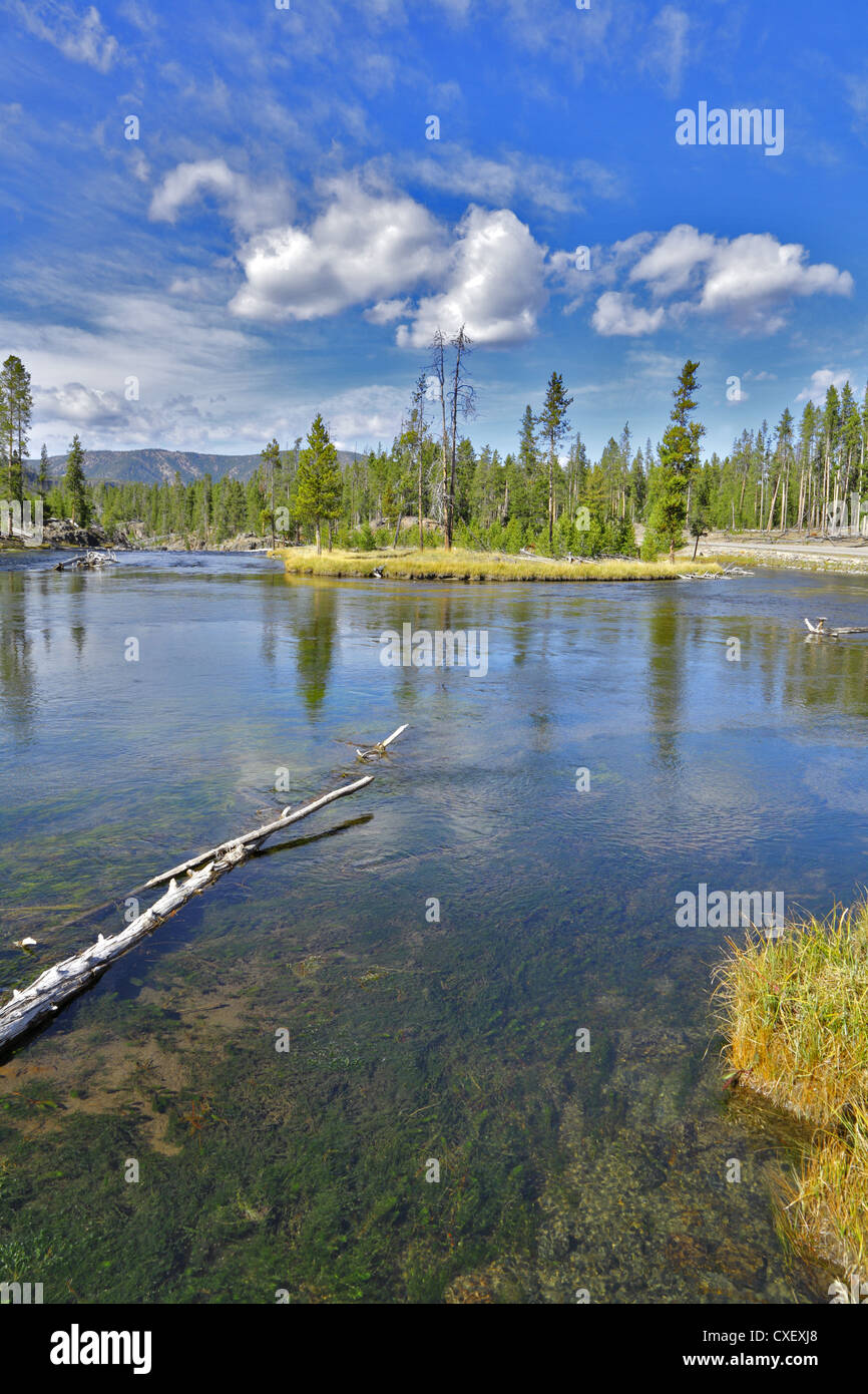 The flood of river Stock Photo - Alamy