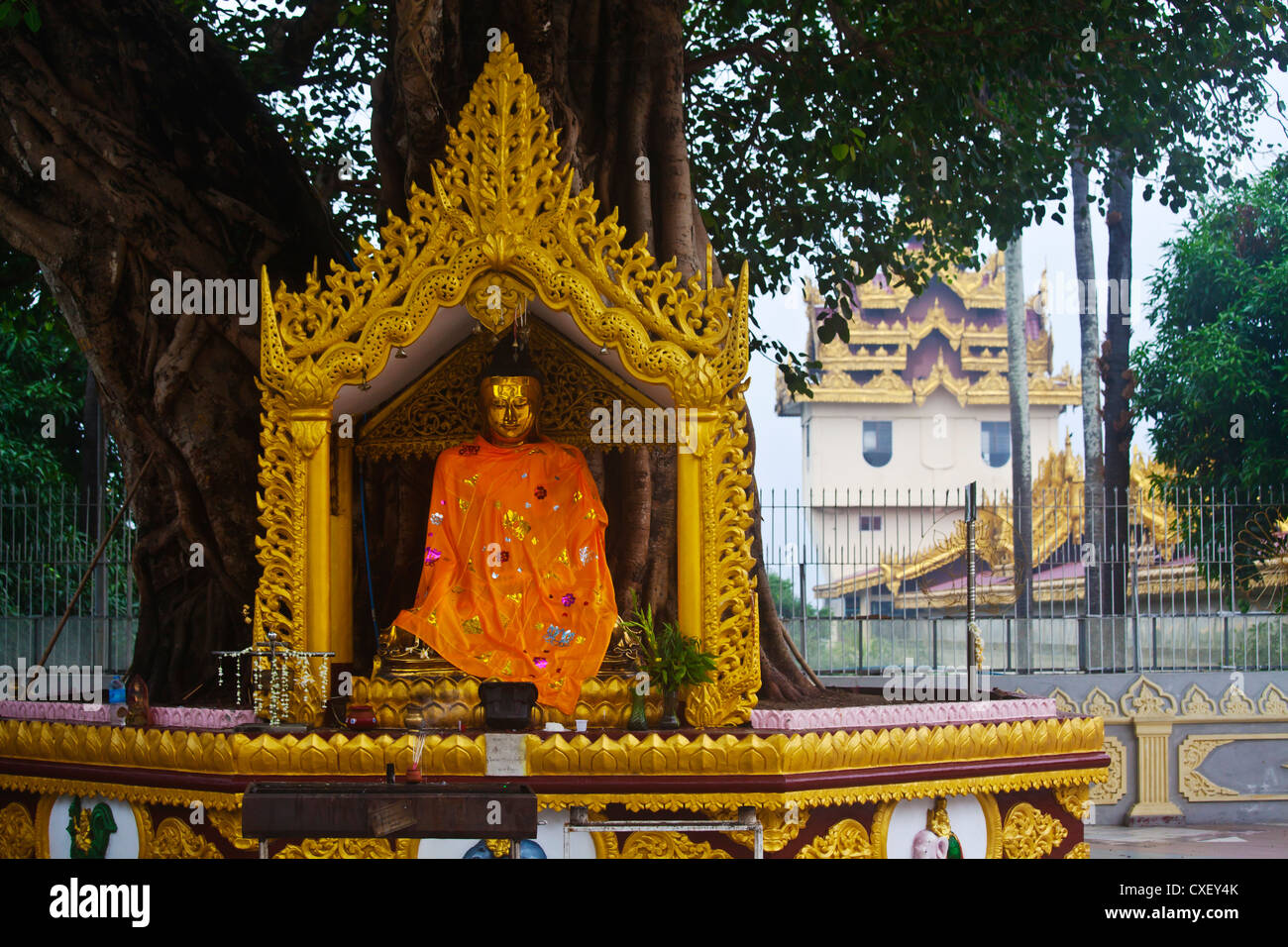 Buddha bodhi tree hi-res stock photography and images - Alamy