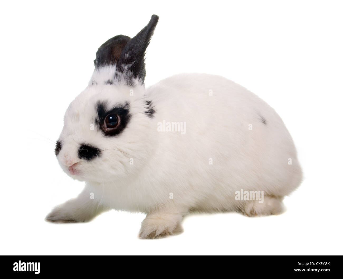 Lang view Cut Out Stock Images & Pictures - Alamy