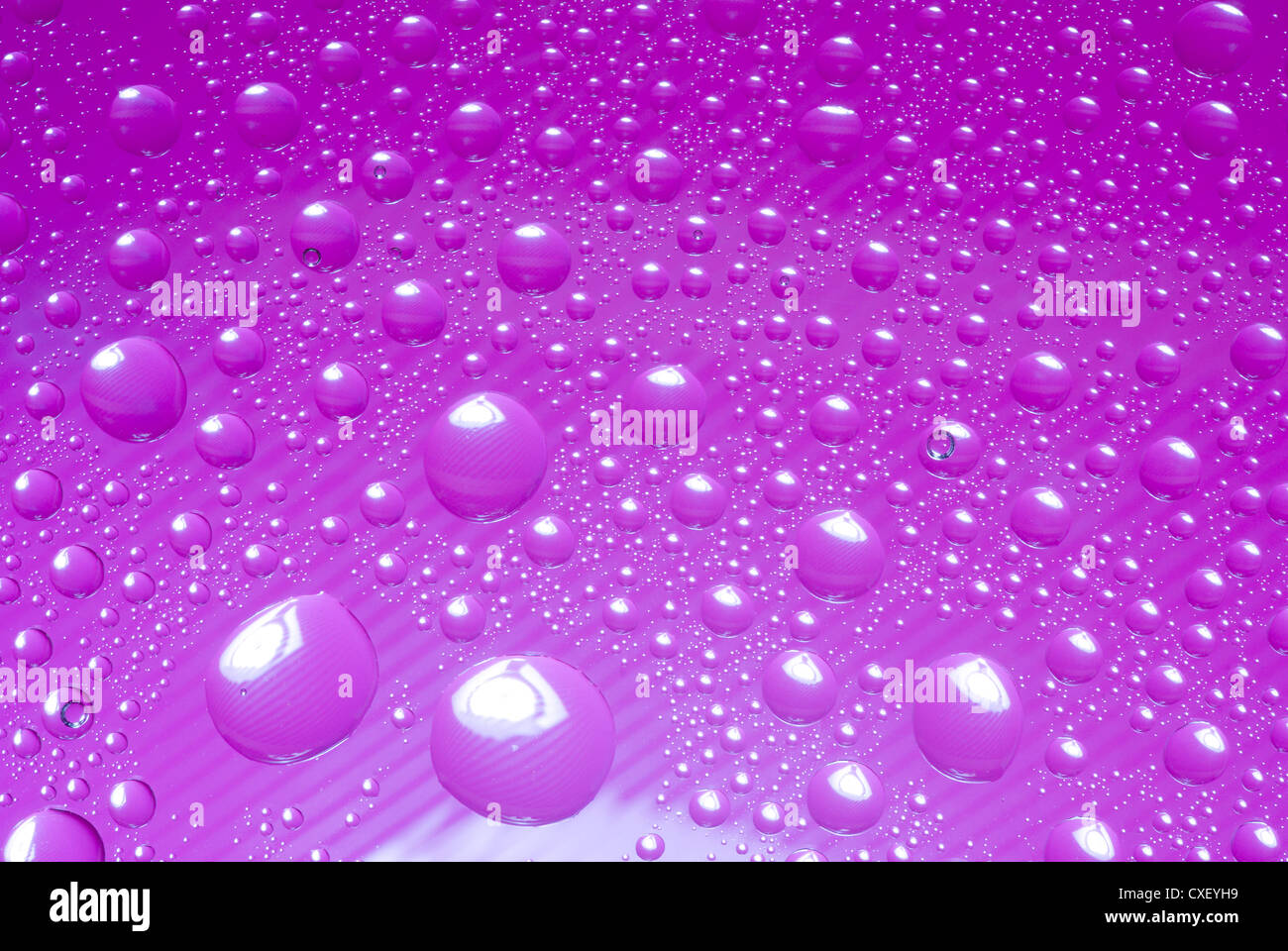 violet water droplets background Stock Photo - Alamy
