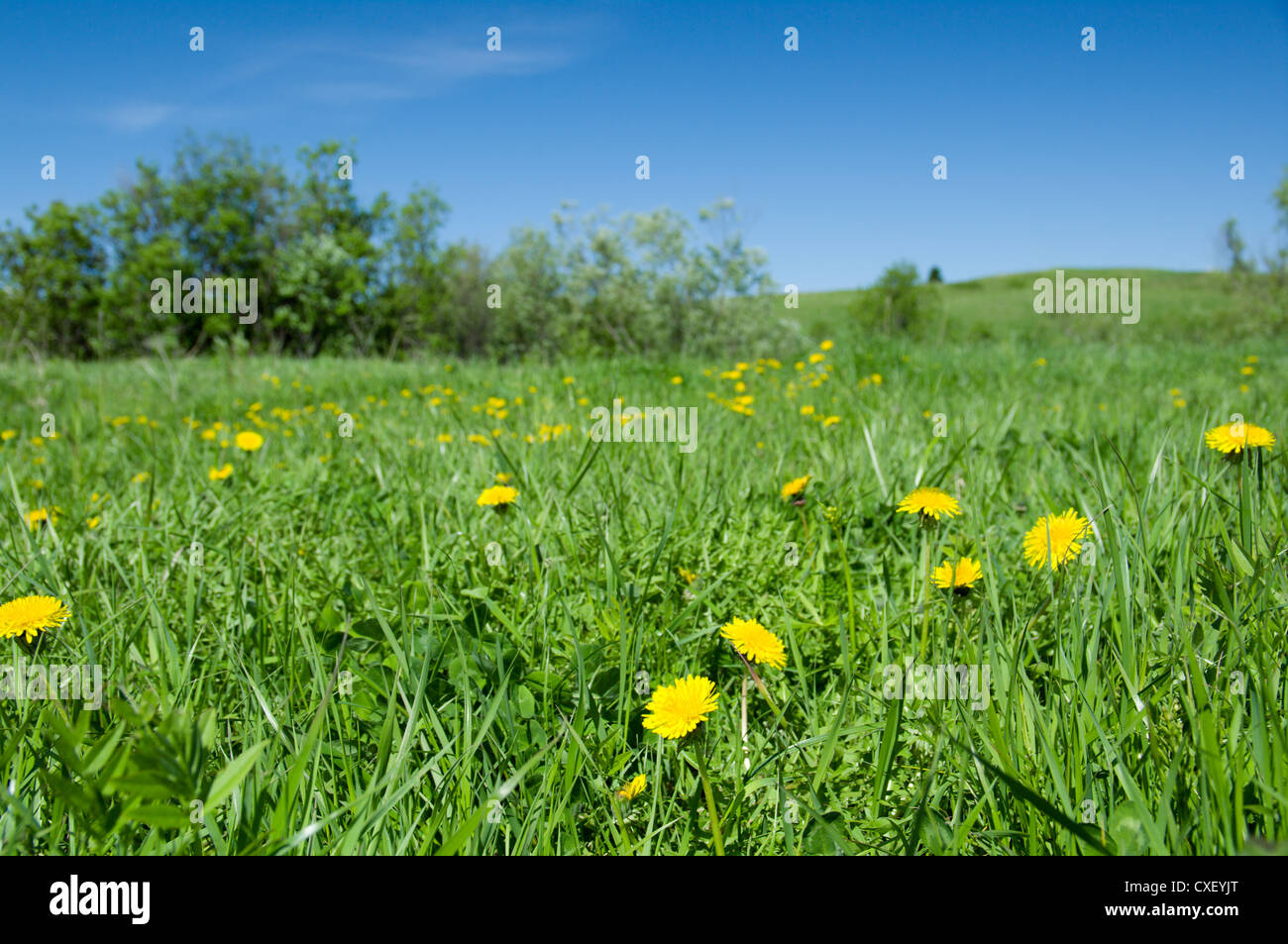 Scenic picture hi-res stock photography and images - Alamy