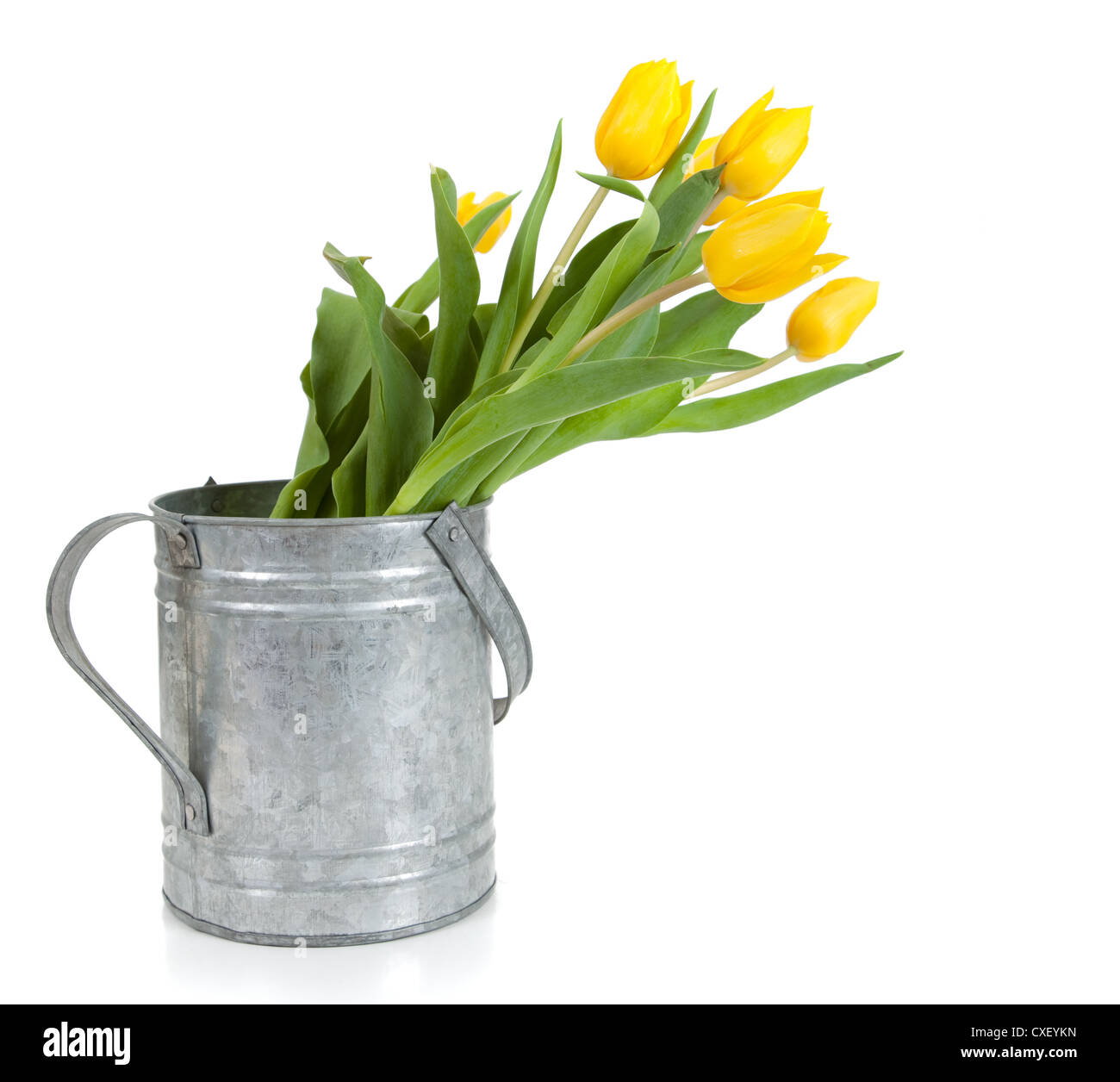 Flower in a tin can hi-res stock photography and images - Alamy