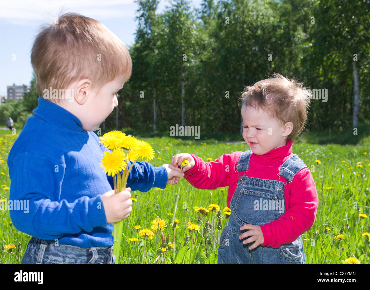children on meadow dandelion Stock Photo - Alamy