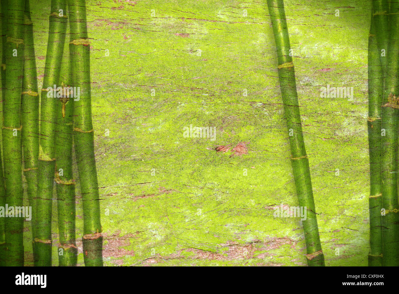 bamboo green background Stock Photo - Alamy