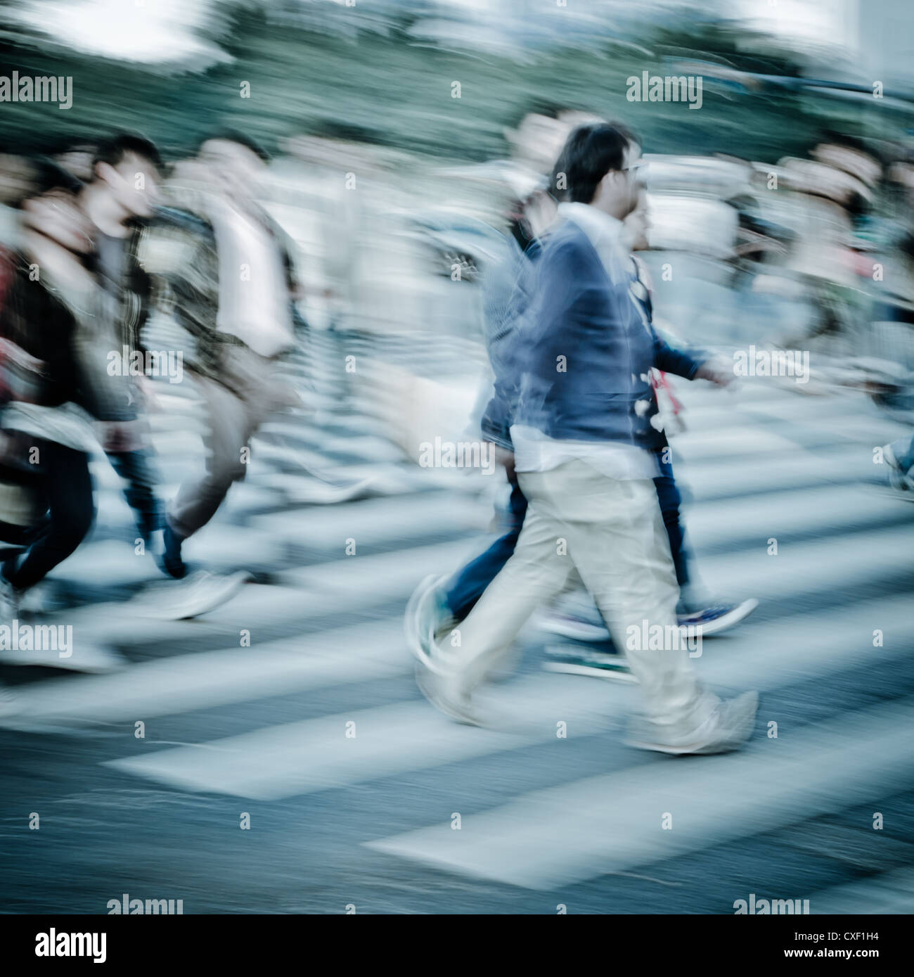 people crowd on zebra crossing street Stock Photo - Alamy