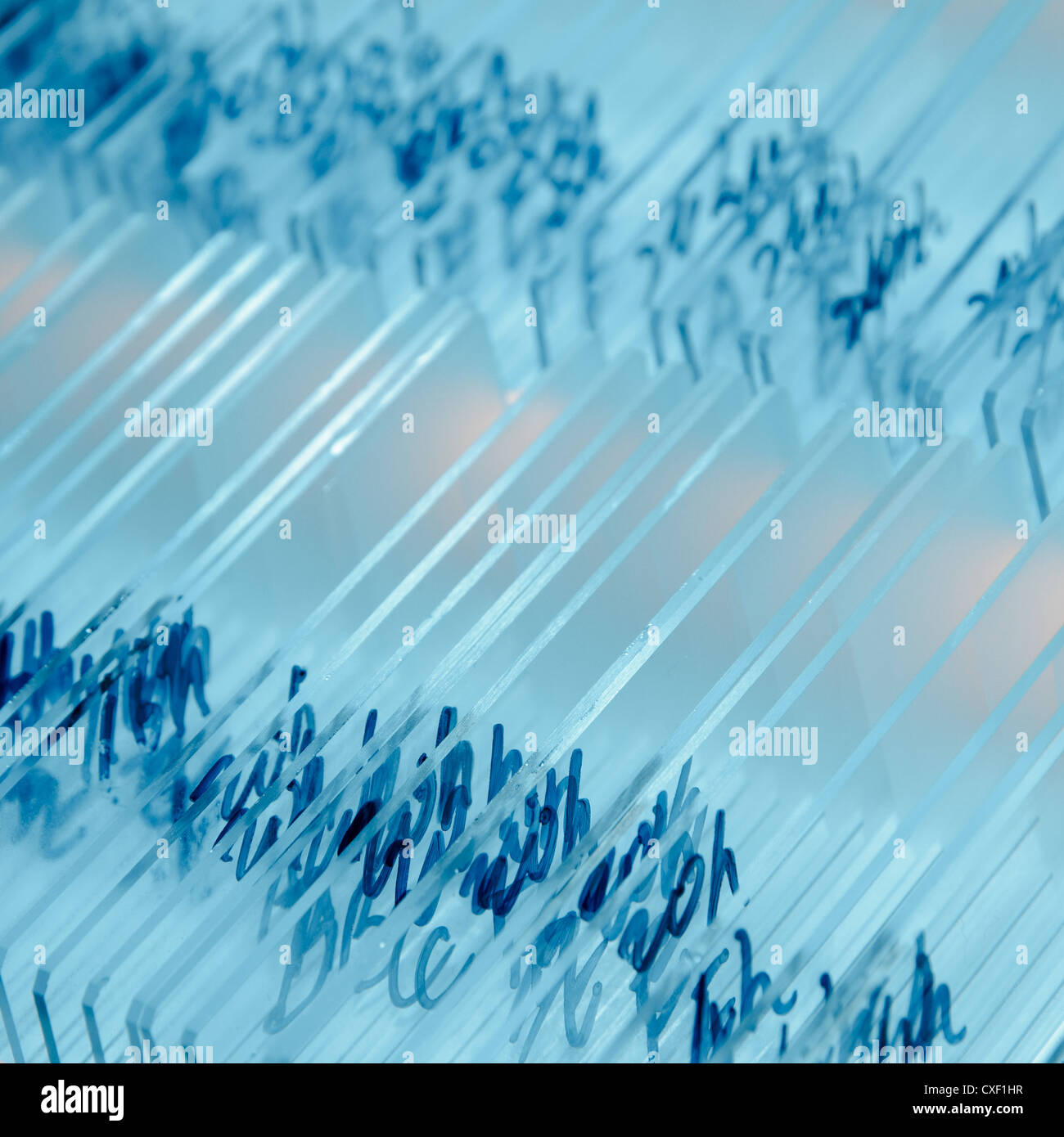 glass microscope slide Stock Photo - Alamy