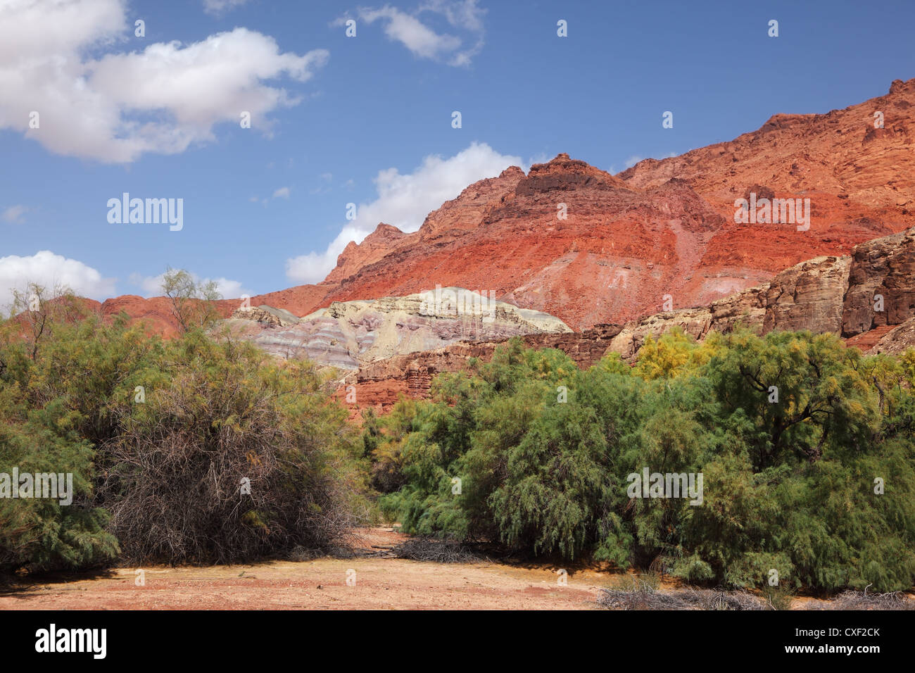 Red rocks in desert hi-res stock photography and images - Alamy