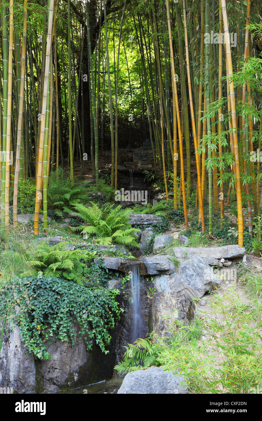 Stream in gardens hi-res stock photography and images - Alamy