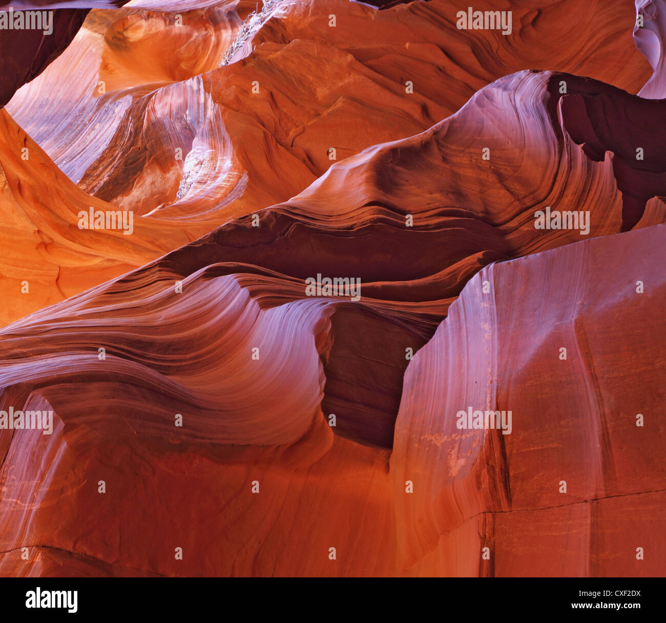 Red and purple colors hi-res stock photography and images - Alamy