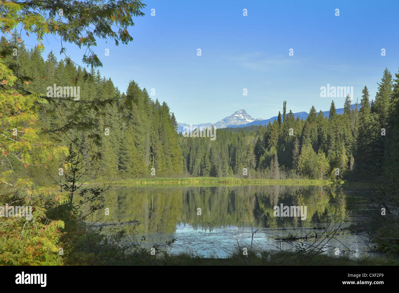 Northern lake hi-res stock photography and images - Alamy