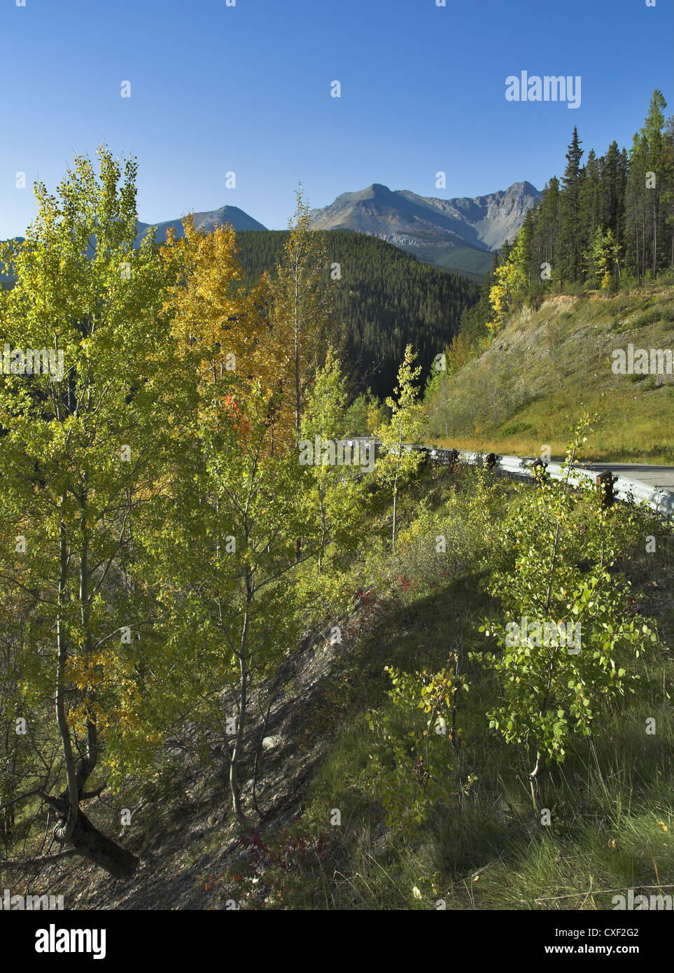The most beautiful road Stock Photo - Alamy