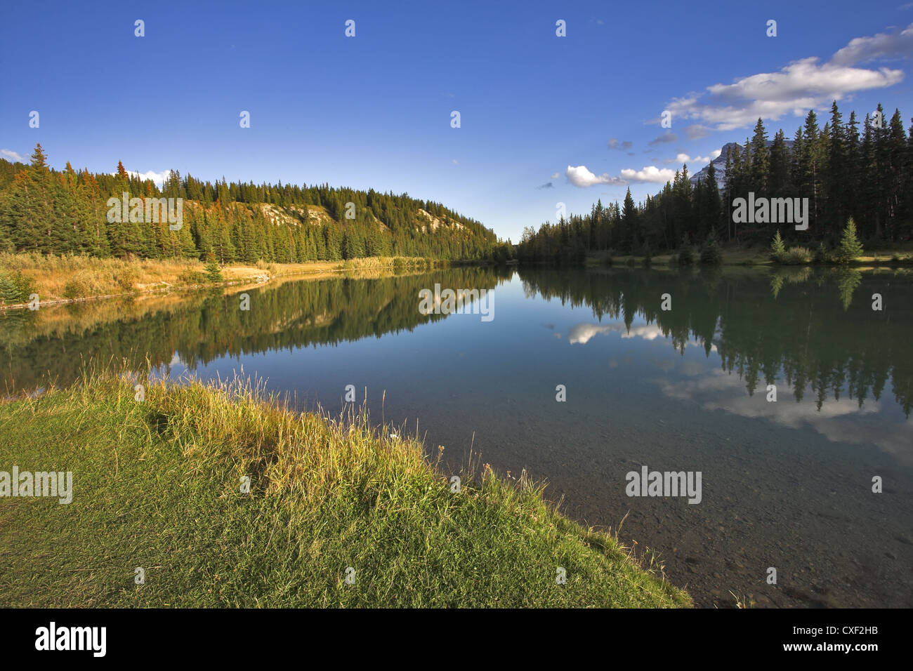 Safe lake hi-res stock photography and images - Alamy