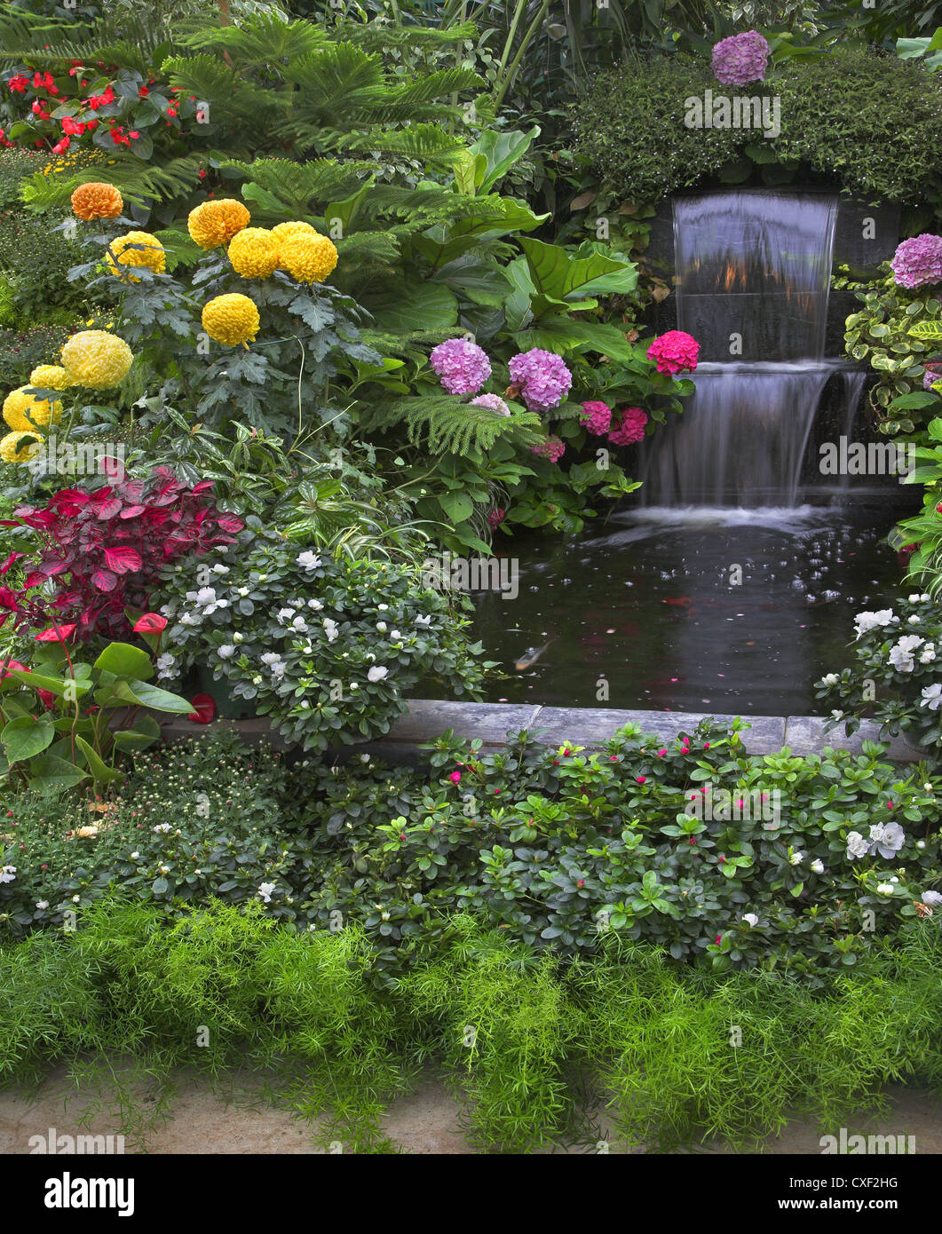 Really bright hi-res stock photography and images - Alamy