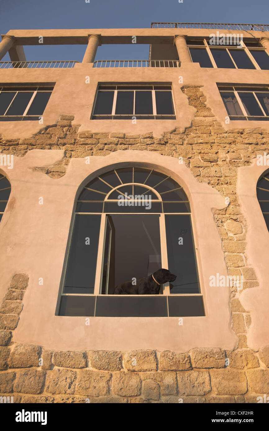 Observer building hi-res stock photography and images - Alamy