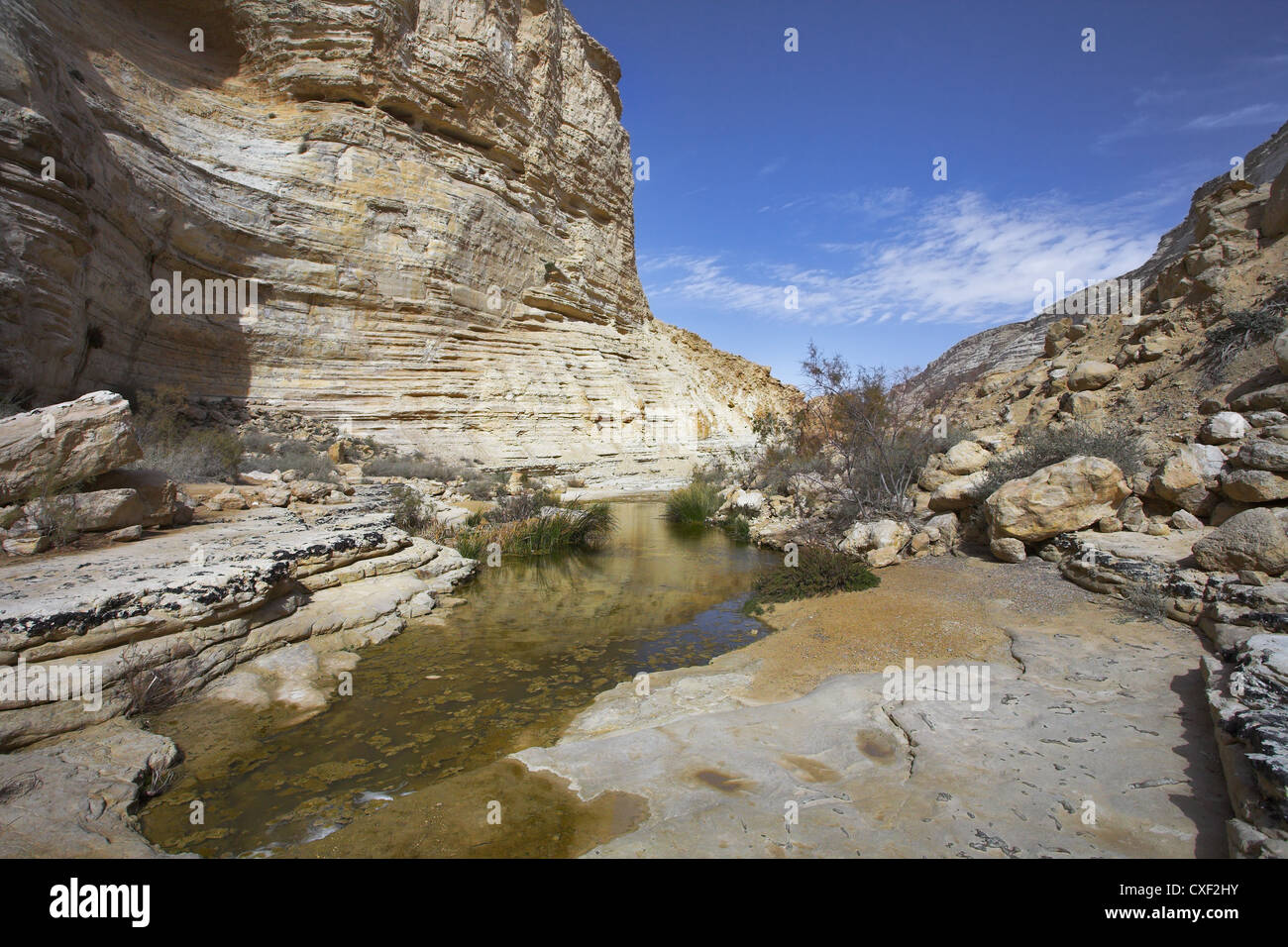 Drying up stream in gorge Stock Photo - Alamy