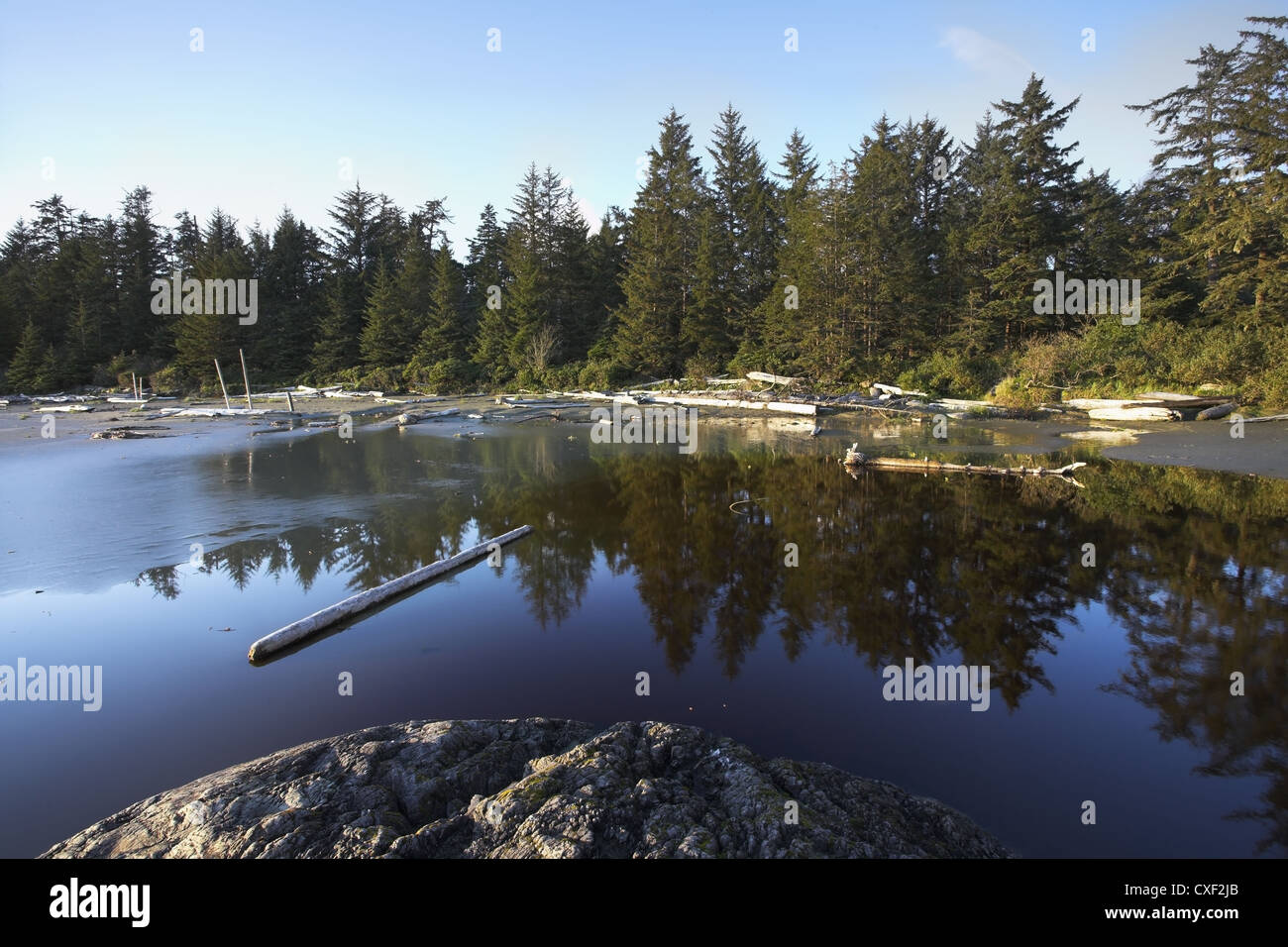 Tidal water hi-res stock photography and images - Alamy
